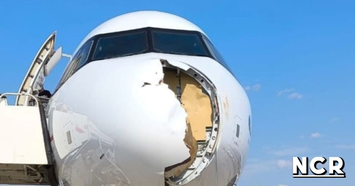 Un avión de Iberia chocó con un pájaro, destrozó la trompa en pleno ...