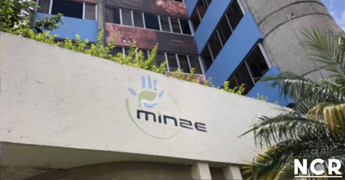Minae solicita causa penal por maltrato animal tras indignante video de ...